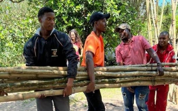 Bamboo-Based Green Economy: Ethiopia and Mozambique | International ...
